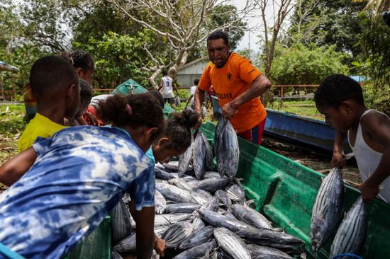 People Carry Fish Traditional Boats Village Editorial Stock Photo ...