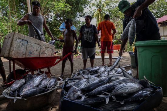 Fishermen Carry Fish Traditional Boats Village Editorial Stock Photo ...
