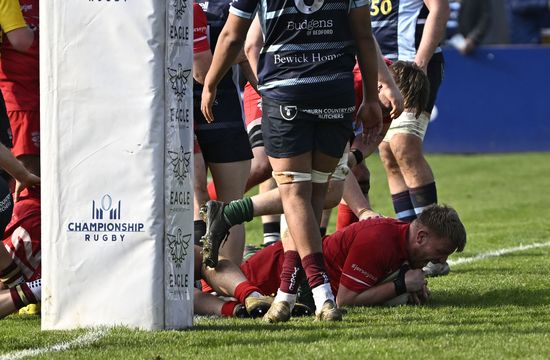 Try Macauley Cook Jersey Dives Score Editorial Stock Photo - Stock ...