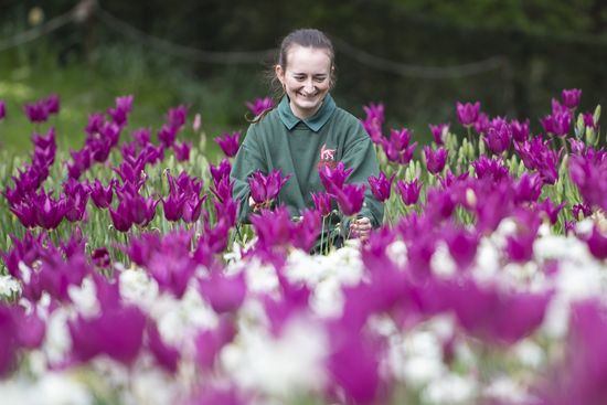 Horticulturist Rose Philpot Tends Gardens That Editorial Stock Photo ...