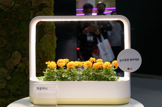 Lg Tiiun Mini Lgs Indoor Gardening Editorial Stock Photo - Stock Image ...