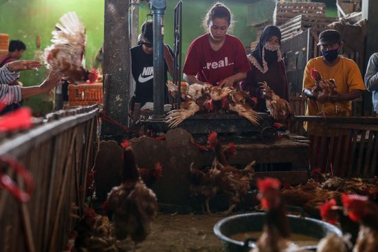 Vendors Prepare Chicken Customer Traditional Market Editorial Stock ...