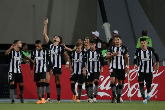 Botafogo Players Celebrate Goal During Their Editorial Stock Photo ...