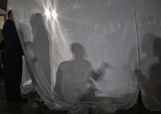 Models Cast Shadows On Curtain They Editorial Stock Photo - Stock Image ...