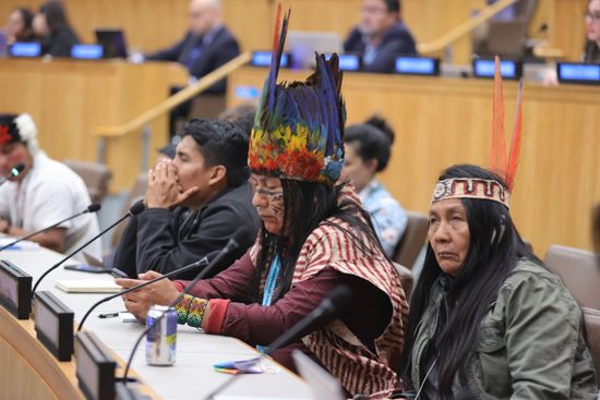 Indigenous Peoples Representatives During 22nd Session Editorial Stock ...