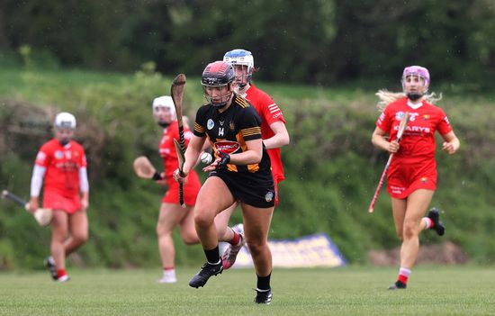 Cork Vs Kilkenny Kilkennys Caroline Kennedy Editorial Stock Photo ...