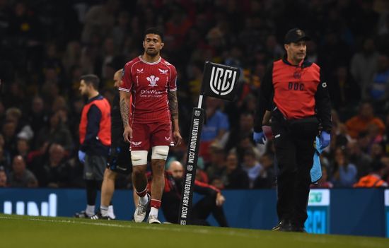 Vaea Fifita Scarlets Leaves Field After Editorial Stock Photo - Stock ...