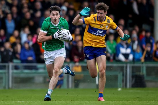 Limerick Vs Clare Limericks Colm Mcsweeney Editorial Stock Photo ...