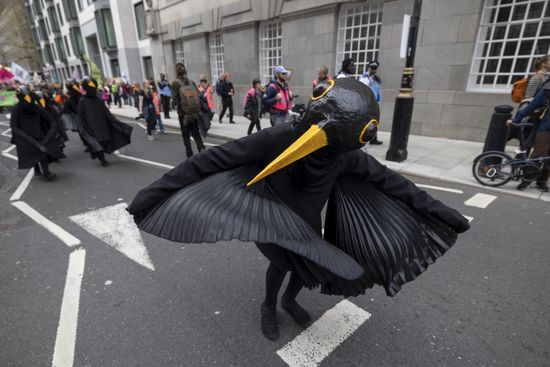 Protester Seen Wearing Costume Acting Bird Editorial Stock Photo ...