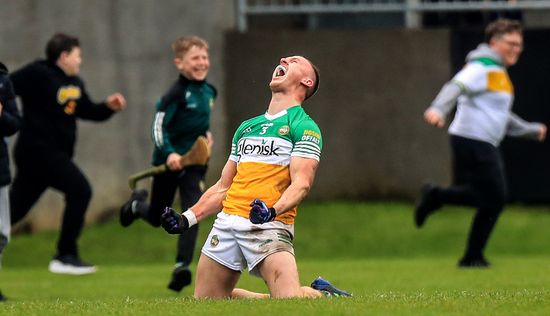 Offaly Vs Meath Offalys Declan Hogan Editorial Stock Photo - Stock ...