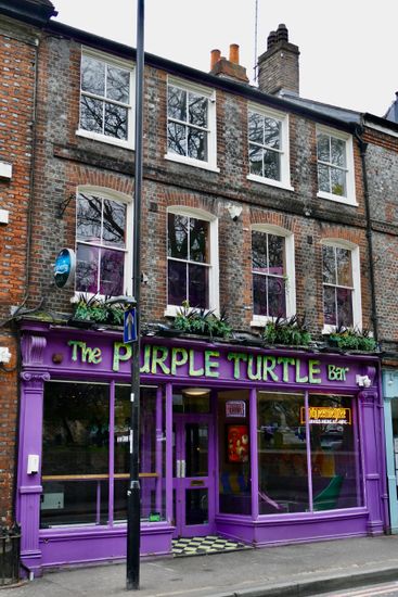 Purple Turtle Bar Where Doorman Assaulted Editorial Stock Photo - Stock ...