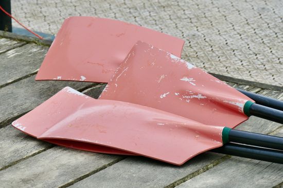 Pink Oars Colour Leander Club Lay Editorial Stock Photo - Stock Image ...