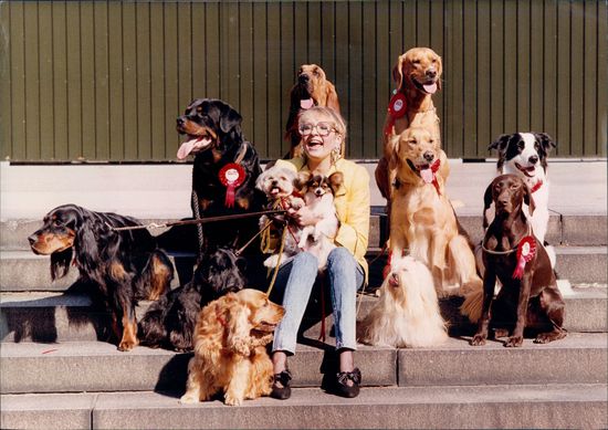 Actress Su Pollard Dogs Winalot Prime Editorial Stock Photo - Stock ...
