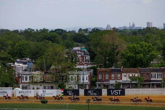 2023 Baltimore Baltimore Usa Horses Walk Editorial Stock Photo - Stock ...