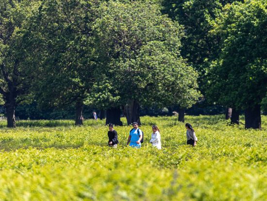 Walkers Enjoy Sunshine Richmond Park Southwest Editorial Stock Photo ...