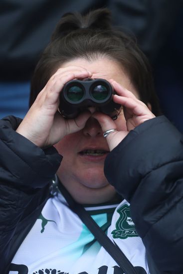 Plymouth Fan Looks On Through Binoculars Editorial Stock Photo - Stock ...