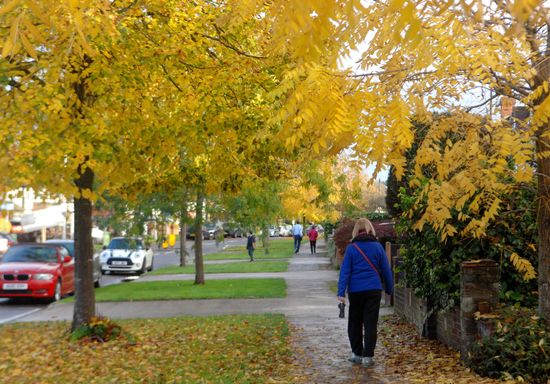 Pedestrians Walk Under Canopy Street Trees Editorial Stock Photo ...