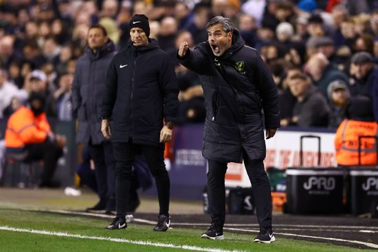 David Wagner Manager Norwich City Editorial Stock Photo - Stock Image ...