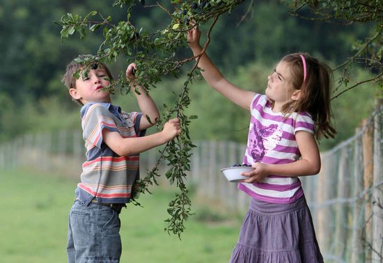 Max Ramsden 7 Mia Bavington 7 Editorial Stock Photo - Stock Image ...