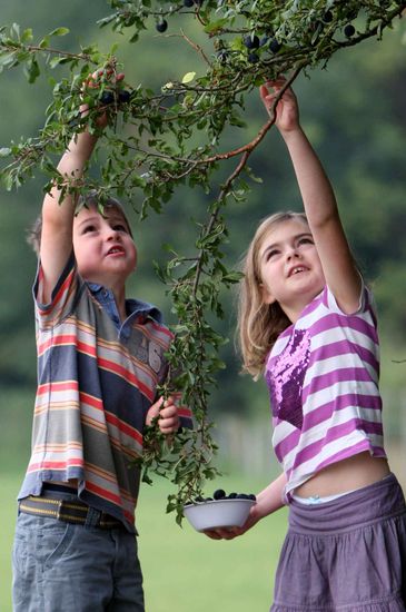 Max Ramsden 7 Mia Bavington 7 Editorial Stock Photo - Stock Image ...