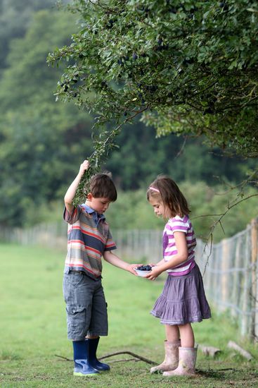 Max Ramsden 7 Mia Bavington 7 Editorial Stock Photo - Stock Image ...