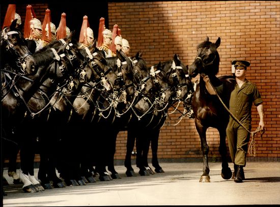 Army Regiments Royal Household Cavalry Blues Editorial Stock Photo ...