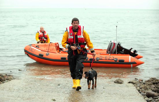 Richard Absalom 16weekold Doberman Pinscher Wilson Editorial Stock ...