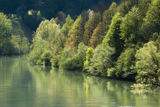 Enns River Backwater Losenstein Upper Austria Editorial Stock Photo ...
