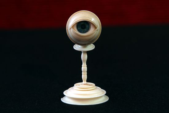 German Anatomical Model Eye Believed Be Editorial Stock Photo - Stock ...