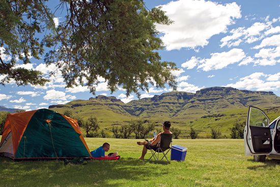 View One Camping Plots Cobham Campsite Editorial Stock Photo - Stock ...