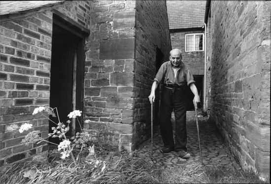 Mr Harold York Walks His Outside Editorial Stock Photo - Stock Image ...
