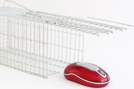 Mouse Trap Computer Mouse Caught Trap Editorial Stock Photo - Stock ...