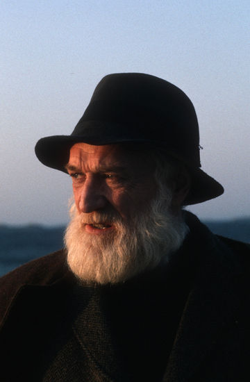 Richard Harris Bull Mccabe Editorial Stock Photo - Stock Image ...