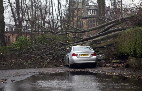 Aftermath Trees Falling Down Editorial Stock Photo - Stock Image ...
