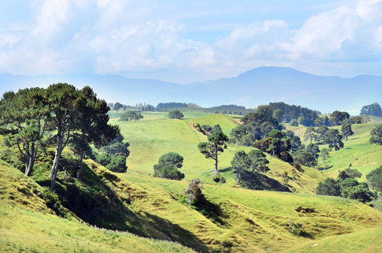 Landscape Hobbiton Movie Set Farm Matamata Editorial Stock Photo ...