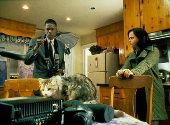 That Darn Cat Doug E Doug Editorial Stock Photo - Stock Image ...