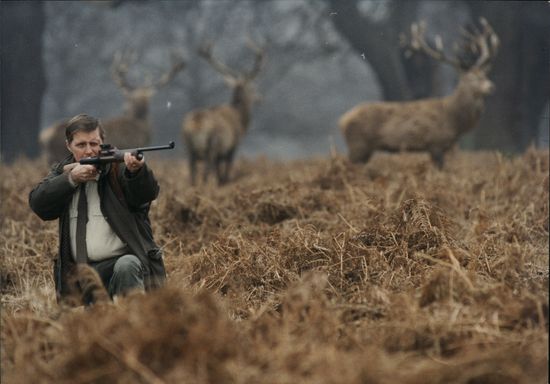 David Smith Head Gamekeeper Londons Richmond Editorial Stock Photo ...