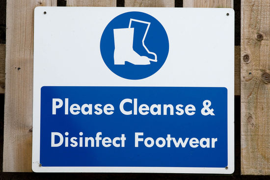 Please Cleanse Disinfect Footwear Sign Editorial Stock Photo - Stock ...