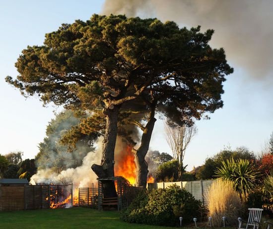 Fire Burning Out Control Editorial Stock Photo - Stock Image | Shutterstock