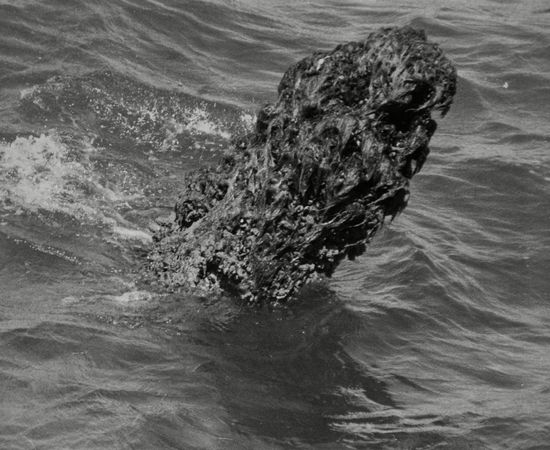 Conning Tower Uboat Wreck Reaching Out Editorial Stock Photo - Stock ...