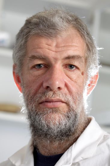 Dr Stephen Martin Campus University Sheffield Editorial Stock Photo ...