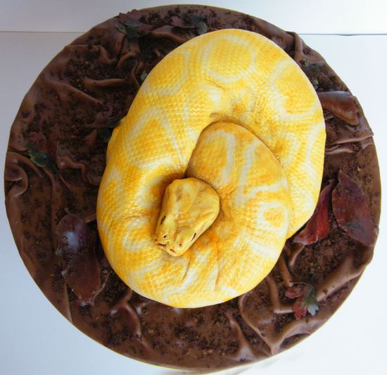 Realistic Albino Burmese Python Cake Created Editorial Stock Photo ...