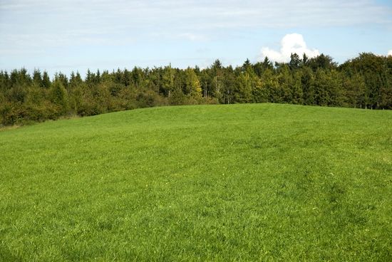 Empty Meadow Surface Ilkahoehe Tutzing Bavaria Editorial Stock Photo ...