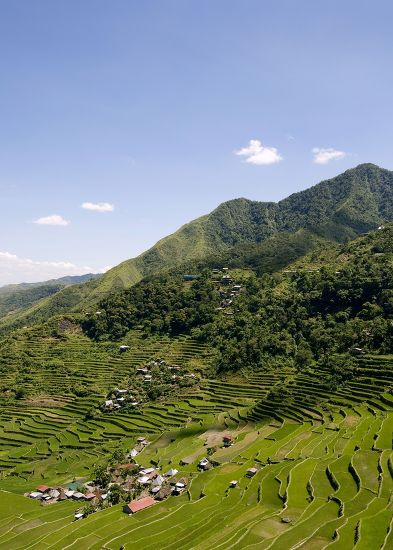 Rice Field Batad Banaue Luzon Philippines Editorial Stock Photo - Stock ...