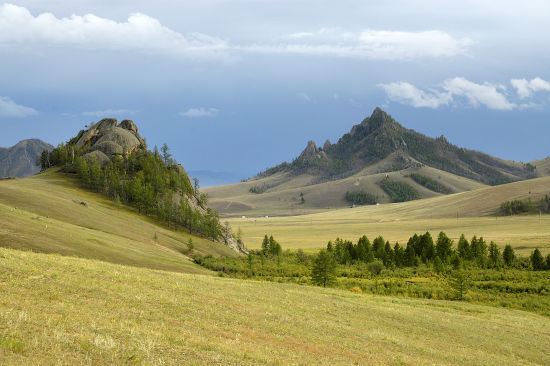 Wide Open Landscape Grassland Forest Dominant Editorial Stock Photo ...