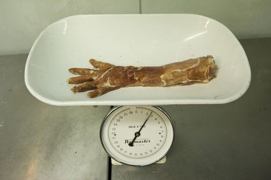 Fake Human Body Parts Sale Editorial Stock Photo - Stock Image ...