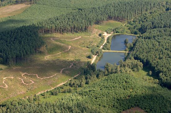 Aerial View Cannock Chase Staffordshire Uk Editorial Stock Photo ...