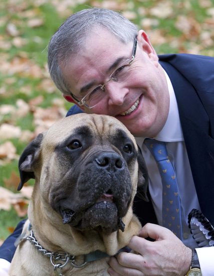 Westminster Dog Year Mps Gather Their Editorial Stock Photo - Stock ...