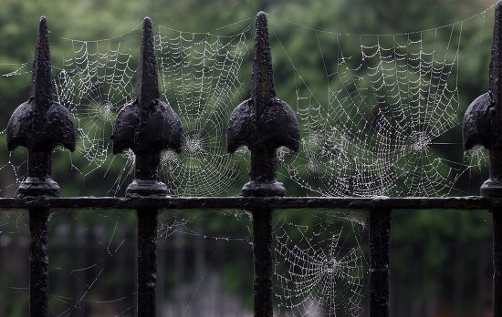 Spiders Webs Hang Iron Railing Fence Editorial Stock Photo - Stock ...