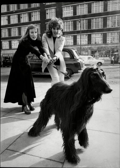 Actress Lorna Heilbron Sue Lloyd Lornas Editorial Stock Photo - Stock ...